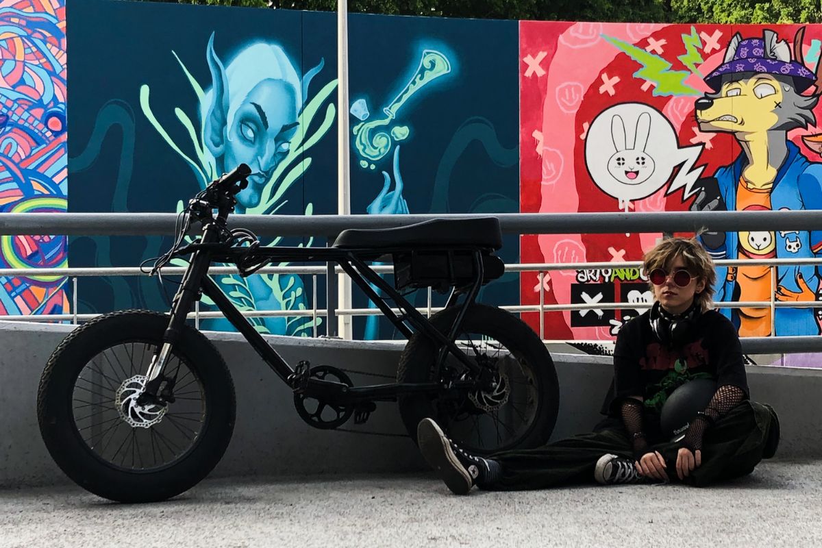 Errores comunes al comprar una bicicleta eléctrica – Bicicletas Eléctricas: Pulse Bike