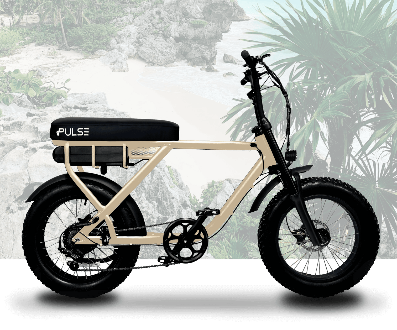 Bicicletas Eléctricas: Pulse Bike